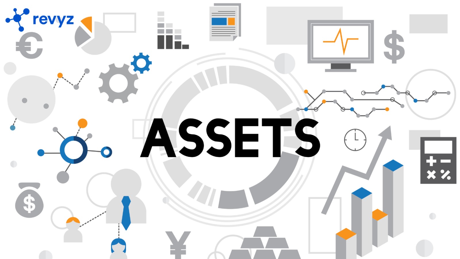 What is Assets?